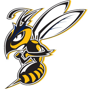 MSUB SCREEN PRINTED HOODED PULLOVER | Jacket Gear